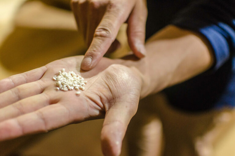 Sake Explained: Types, Grades, and Tasting Tips | HIS Hawaii