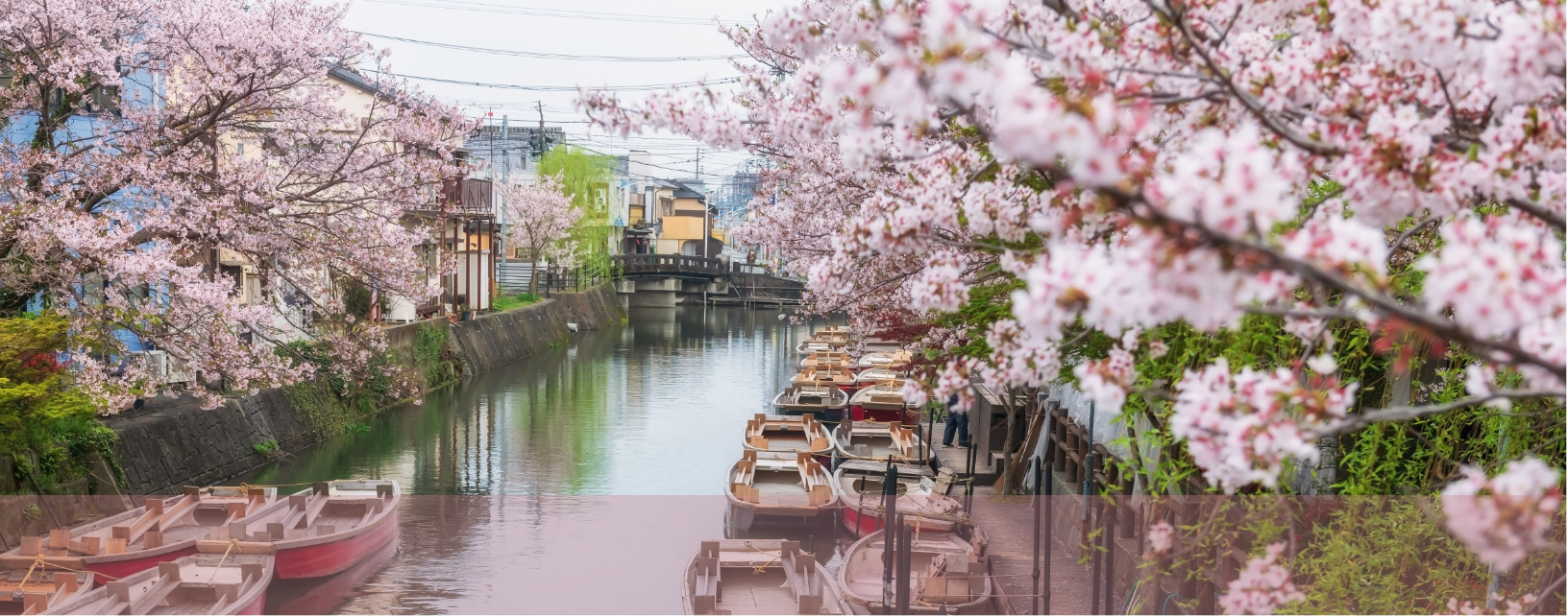 Explore Kyushu and Beyond | HIS Hawaii