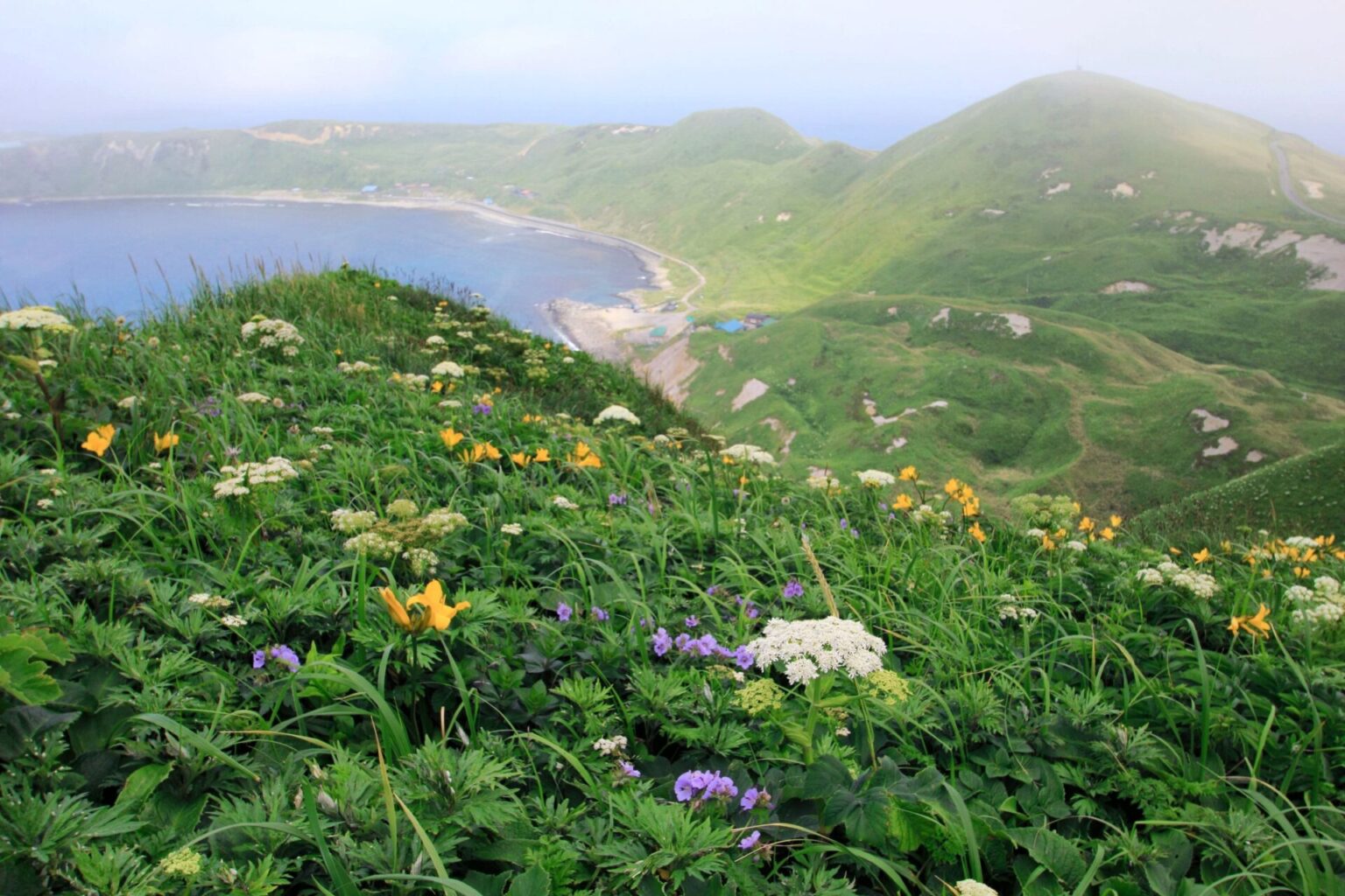 Edge of Hokkaido Tour 2026 with Rishiri and Rebun Islands | HIS Hawaii